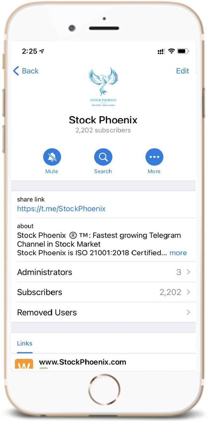 Stock Phoenix™ | Fastest Growing Stock Market Training Institute in India